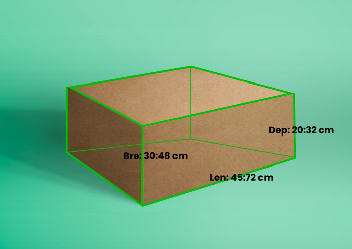 Automated Box Dimension Measurement | TechVision+